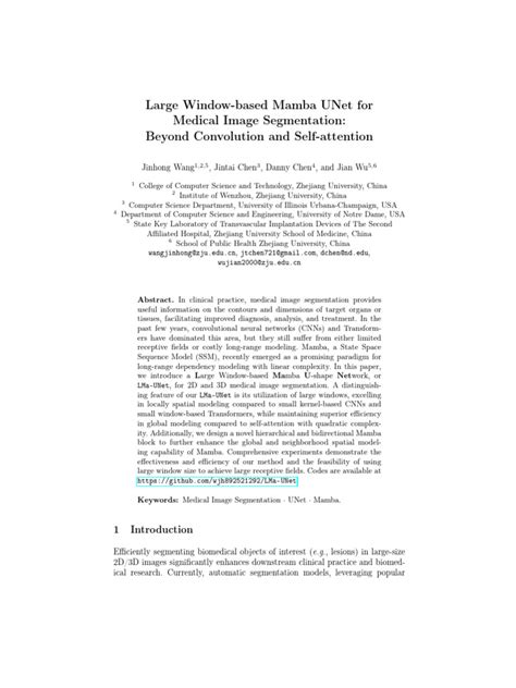 Large Window Based Mamba Unet Pdf