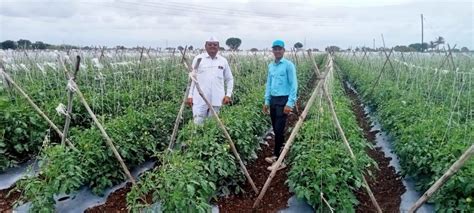 Saurabh Zagade On Linkedin Internshipexperience Syngenta