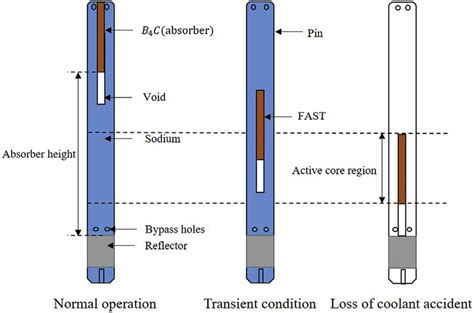 Behavior Of The Fast Under The Steady State Transient And Loca