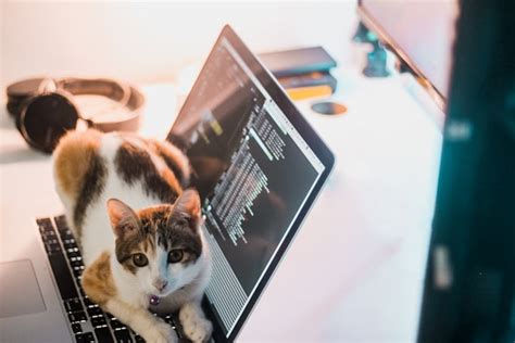 Fixing Crontab Command Not Found” On Ubuntu — Why It Happens And How