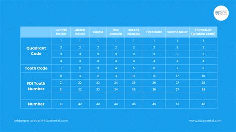 The Complete Guide To Tooth Numbering System — Kwc Dental