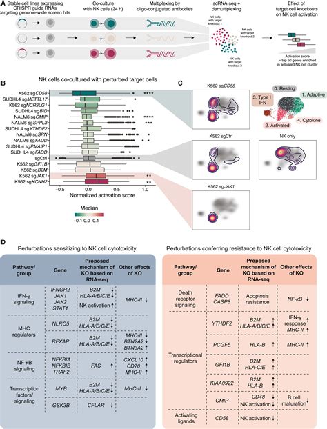 Single Cell Functional Genomics Reveals Determinants Of Sensitivity And Resistance To Natural