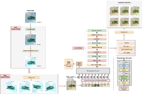 Figure From Improving Chicken Disease Classification Based On Vision Transformer And Combine