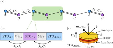 Non Hermitian Topology Of One Dimensional Spin Torque Oscillator Arrays