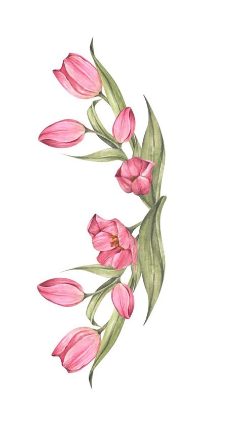 ورد توليب Nel 2025 Grafici Partecipazioni Nozze Sfondi