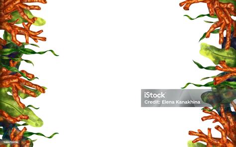 열대어 산호 조류 돌로 만든 정사각형 해양 프레임 수중 세계 흰색 배경에 디지털 일러스트레이션 디자인 포장 인쇄 포스터 엽서