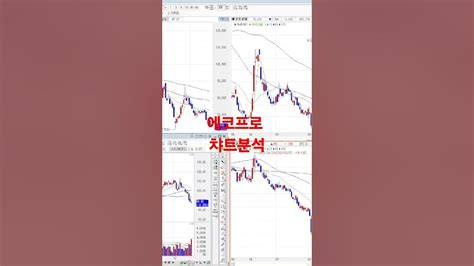 에코프로 매매전략 챠트분석 이차전지관련주 Youtube