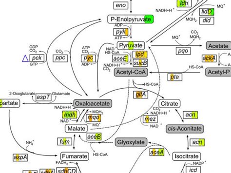on node on edge encoding