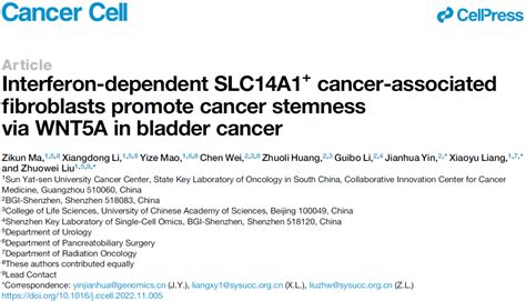 Cancer Cell：中山大学刘卓炜团队揭示膀胱癌成纤维细胞新亚群介导肿瘤干性和化疗抵抗 丁香实验