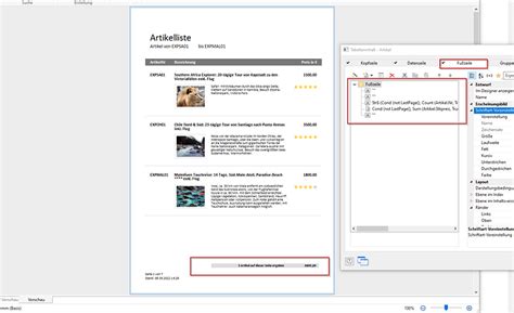 Dataset Einträgezeilen Zählen Combit Reporting Forum