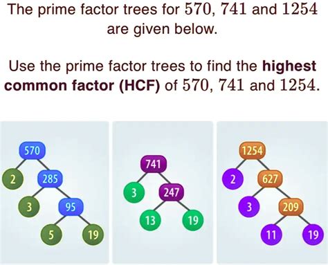 The Prime Factor Trees For 570 741 And 1254 Are Given Below Use The