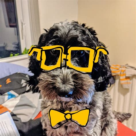 Jamie S Profile Hackaday Io Jamie S Profile Hackaday Io