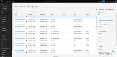 query logs adobe experience platform