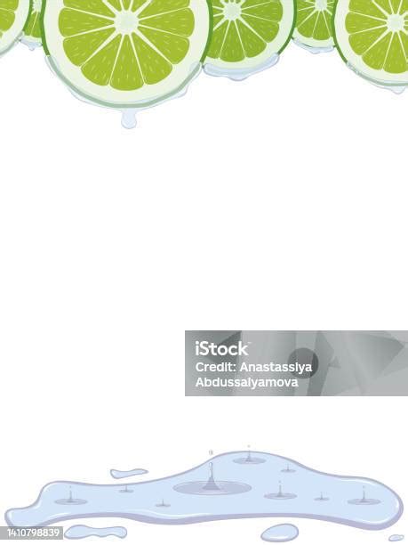 Irisan Jeruk Nipis Segar Berair Dengan Tetesan Dan Genangan Air Copy Ruang Ilustrasi Vektor