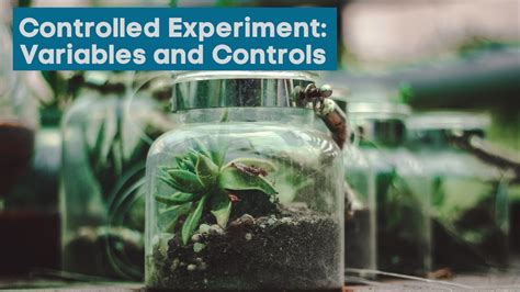 controlled experiment plants