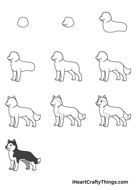 How To Draw A Husky Dog Face