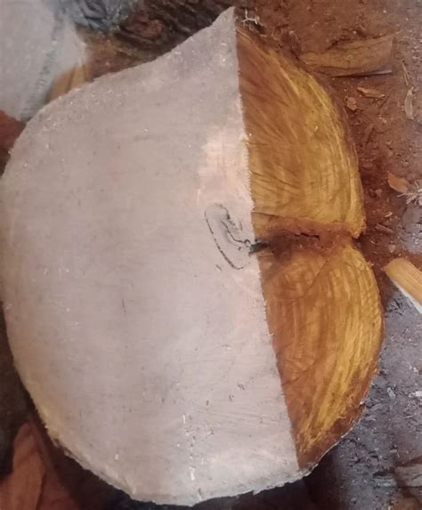 B Grade Teak Wood Log At ₹ 600 Cubic Feet Teak Wood Log In Mumbai Id 2850663270891