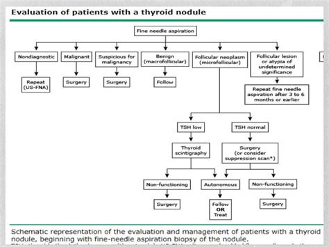 Approach To Thyroid Nodule Pptx Thyroid Disorders Endocrine And