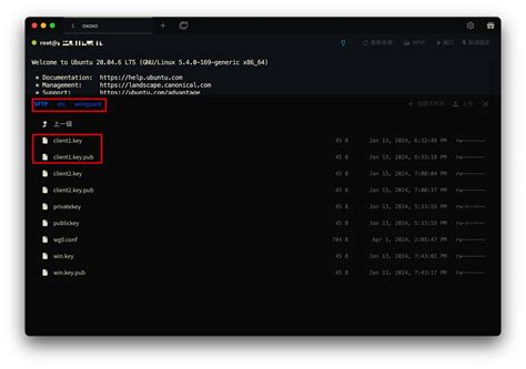「wireguard」搭建属于自己的vpn