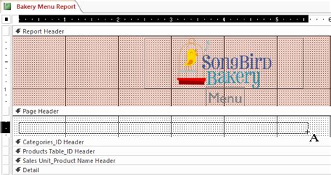 Access Advanced Report Options