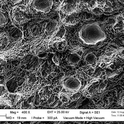 Pdf Effect Of Porosity On Tensile Behaviour Of Welded Aa6061 T6 Aluminium Alloy