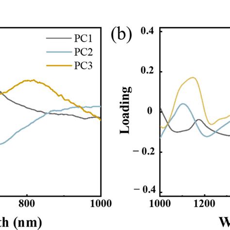 The Loading Plots Of Pc1 Pc2 And Pc3 In The Range Of A 400 1000 Nm