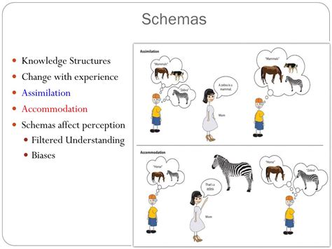Ppt Perception Powerpoint Presentation Free Download Id 2354235