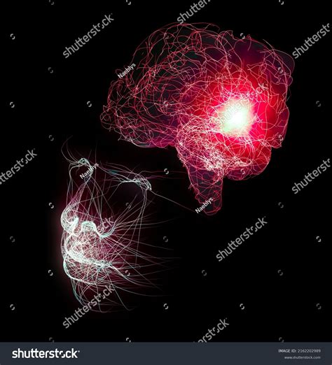 Synapse Connections Structure That Permits Neuron Stock Illustration Shutterstock