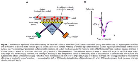 Bacteriology Parasitology Surface Plasmon Resonance