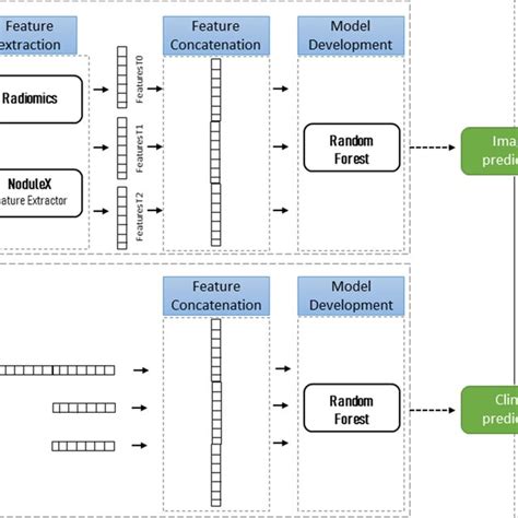 Implementation Workflow Of The Longitudinal And Ensemble Models
