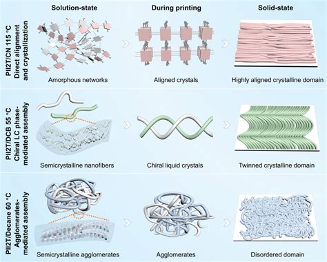 The Proposed Three Distinct Assembly Pathways Modulated By Selective Download Scientific