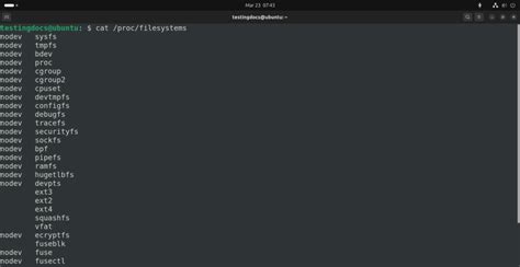 Linux Proc Directory