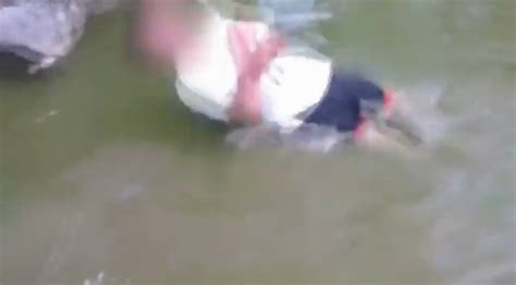 전기뱀장어 잡으려다 그만…충격적인 감전 현장 트렌드 기사 The Fact