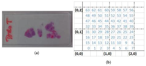 Towards Real Time Hyperspectral Multi Image Super Resolution Reconstruction Applied To