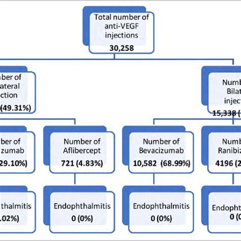 Flowchart Depicting The Distribution Of Injections And Subsequent