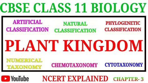 Differentiate Between Artificial Natural And Phylogenetic System Of Classification Of Plants At