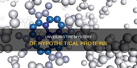 Unveiling The Mystery Of Hypothetical Proteins Medshun