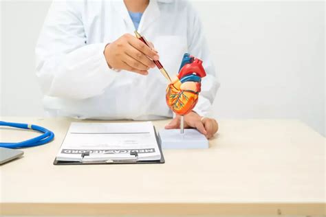 What Is The Life Expectancy After Aortic Dissection And How Do Survival Rates Vary