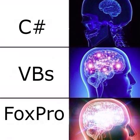 DNH programming meme s fun Dạy Nhau Học