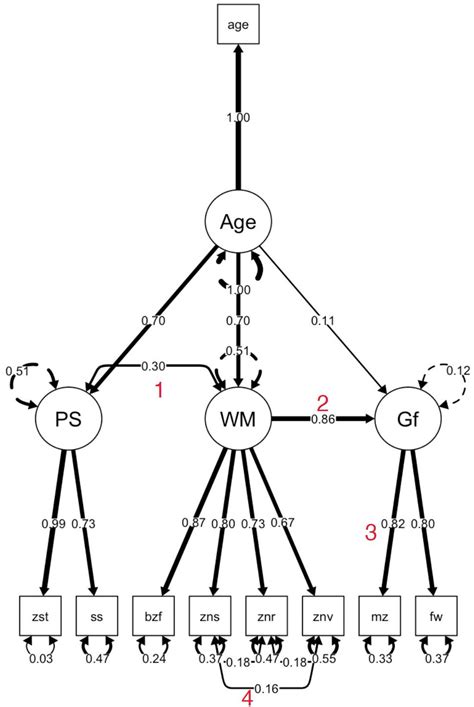 Sem How To Report Latent Factor Relationships Covariance Vs