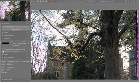 Panasonic Lx7 Garbage Pixels · Issue 14082 · Darktable Orgdarktable