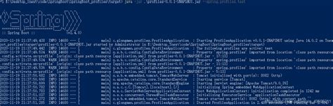 springboot配置文件相关 java dspring profiles active prod jar csdn博客