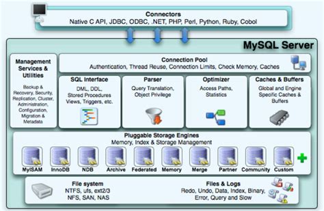 MySQL高级知识一基础 developer chan 博客园