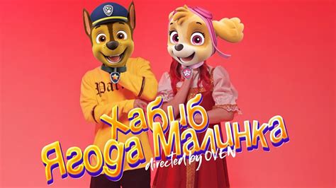 Ягодка Малинка Щенячий Патруль Гонщик Vs Скай Youtube