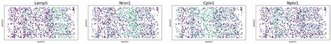 Mouse Primary Visual Cortex Dataset — Deepgft V001 Documentation