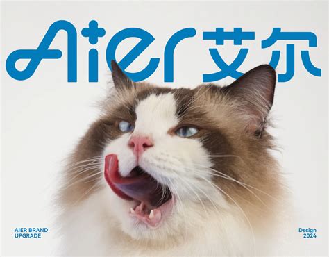 The Tingler Font Duo Print And Script Bffs Behance