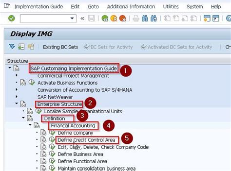How To Define Credit Control Area In SAP