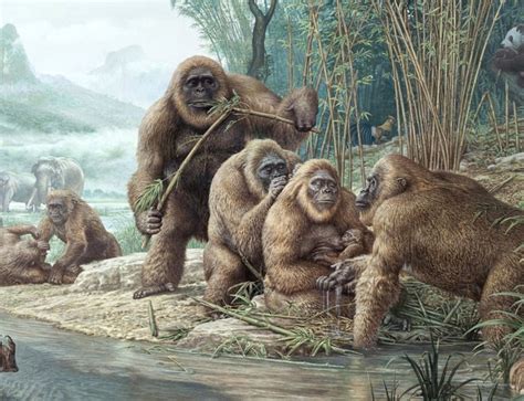 Art Illustration Primate Gigantopithecus Is An Extinct Genus Of Hominoid Primate That