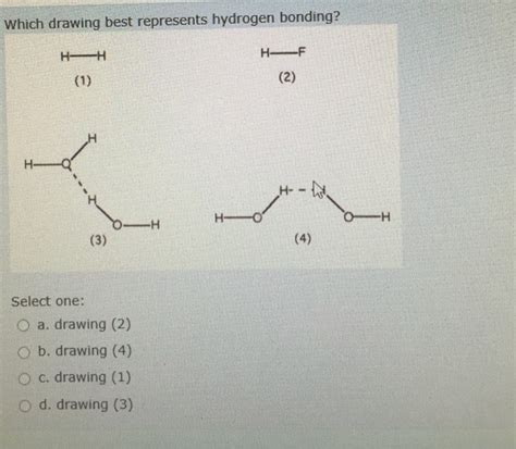 Solved The Following Drawing Is A Representation Of A Chegg