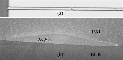 A Microscope Top Image Of An As Se Photonic Wire Waveguide Embedded